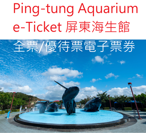 Chelsea NYC Translation LLC & Chelsea e-Voucher