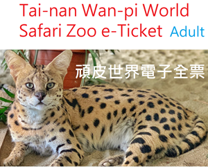 Chelsea NYC Translation LLC & Chelsea e-Voucher